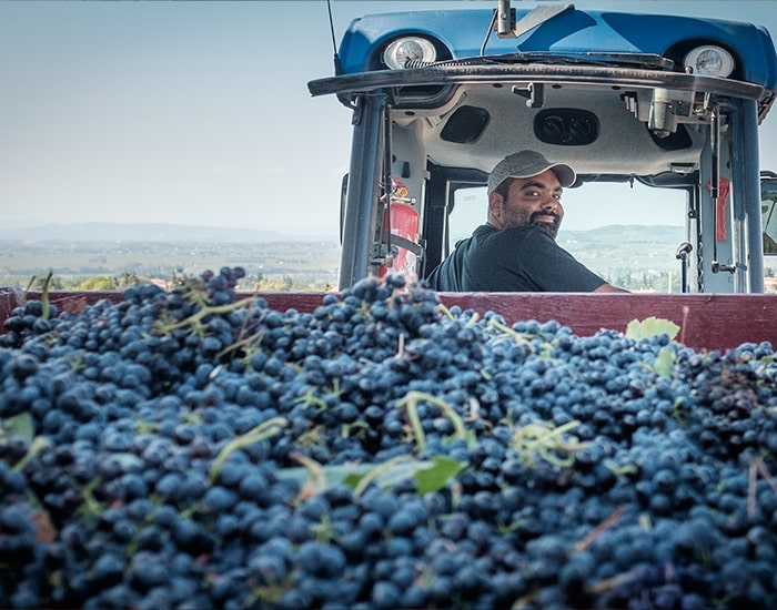 Notre Métier, une Passion - Maison Gabriel Meffre